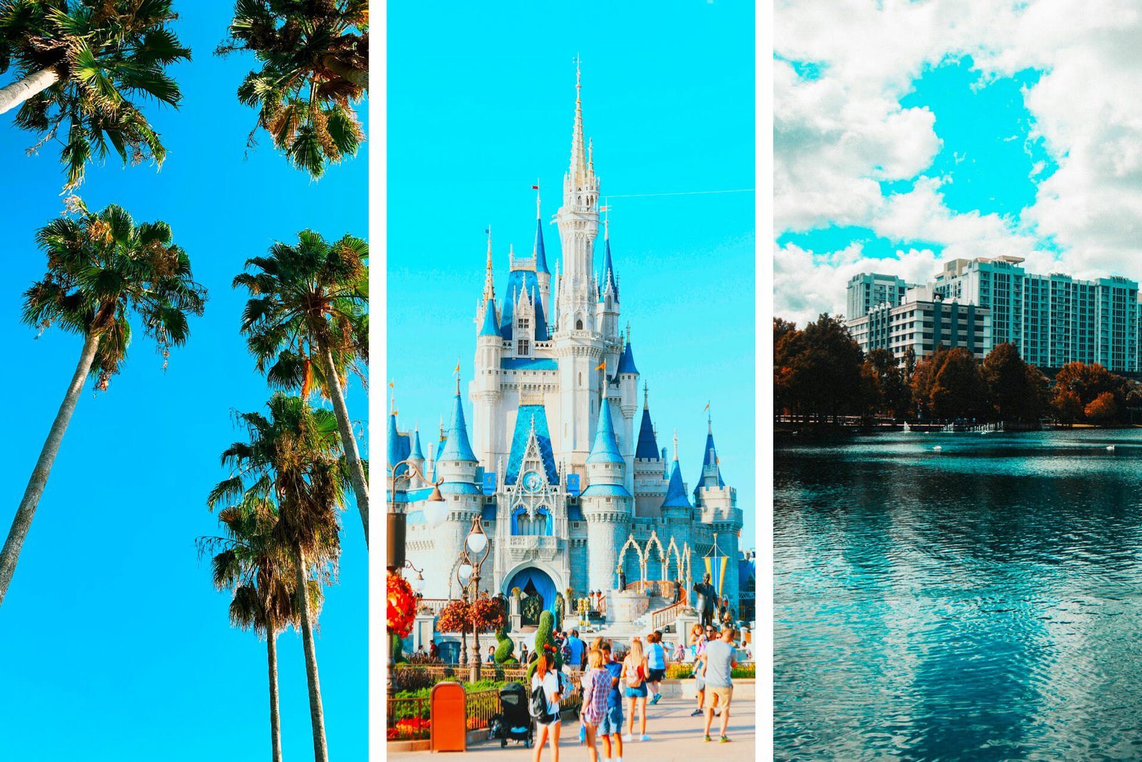 Best Ever Orlando Itinerary: 7 Days in Orlando (2022) - All-American Atlas