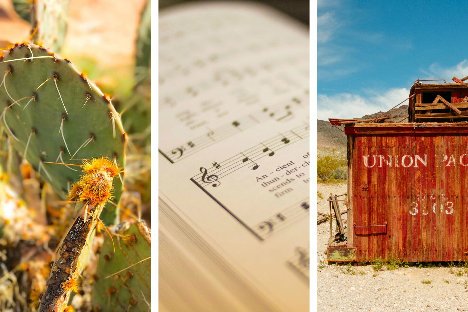 26+ Inspiring Songs about Nevada - All-American Atlas