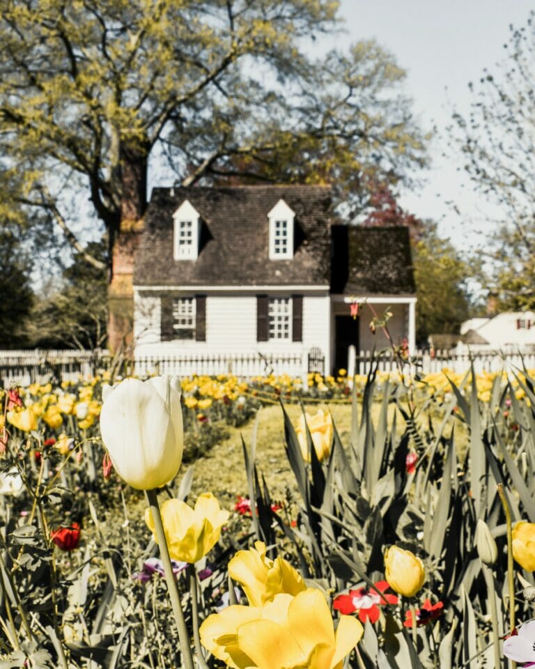 Ultimate List of State Songs for all 50 US States - All-American Atlas