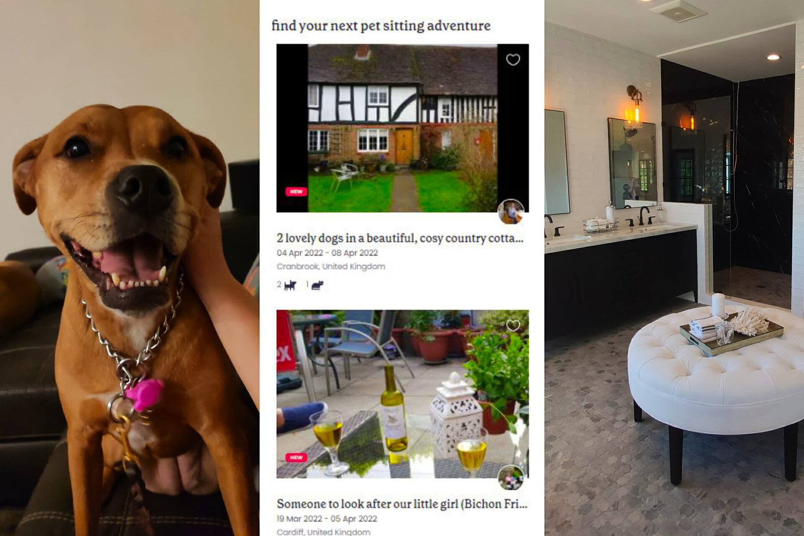 Honest Trusted Housesitters Review + Insider Tips - All-American Atlas