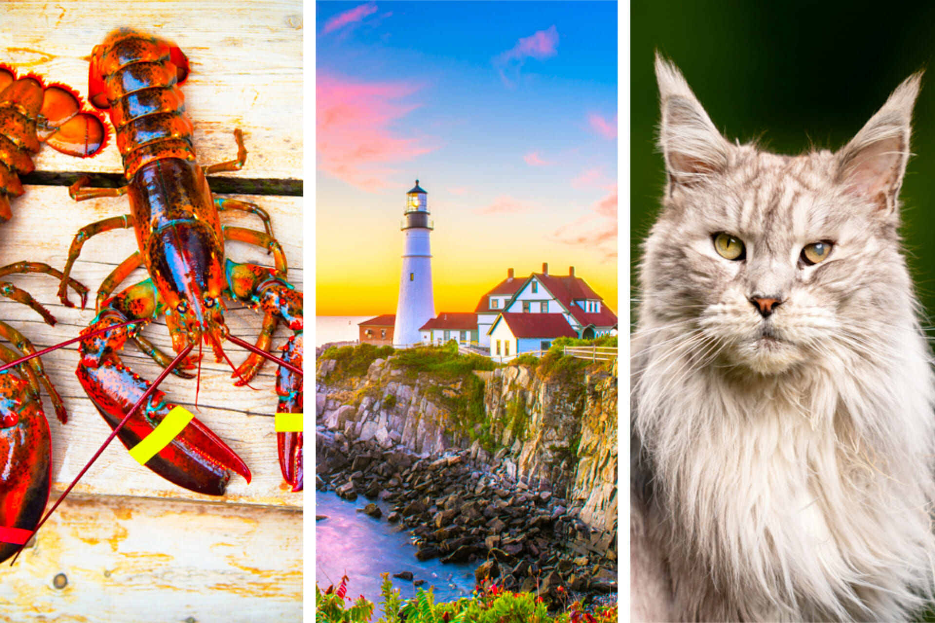 27 Fun Facts about Maine (that most people don't know!) - All-American ...