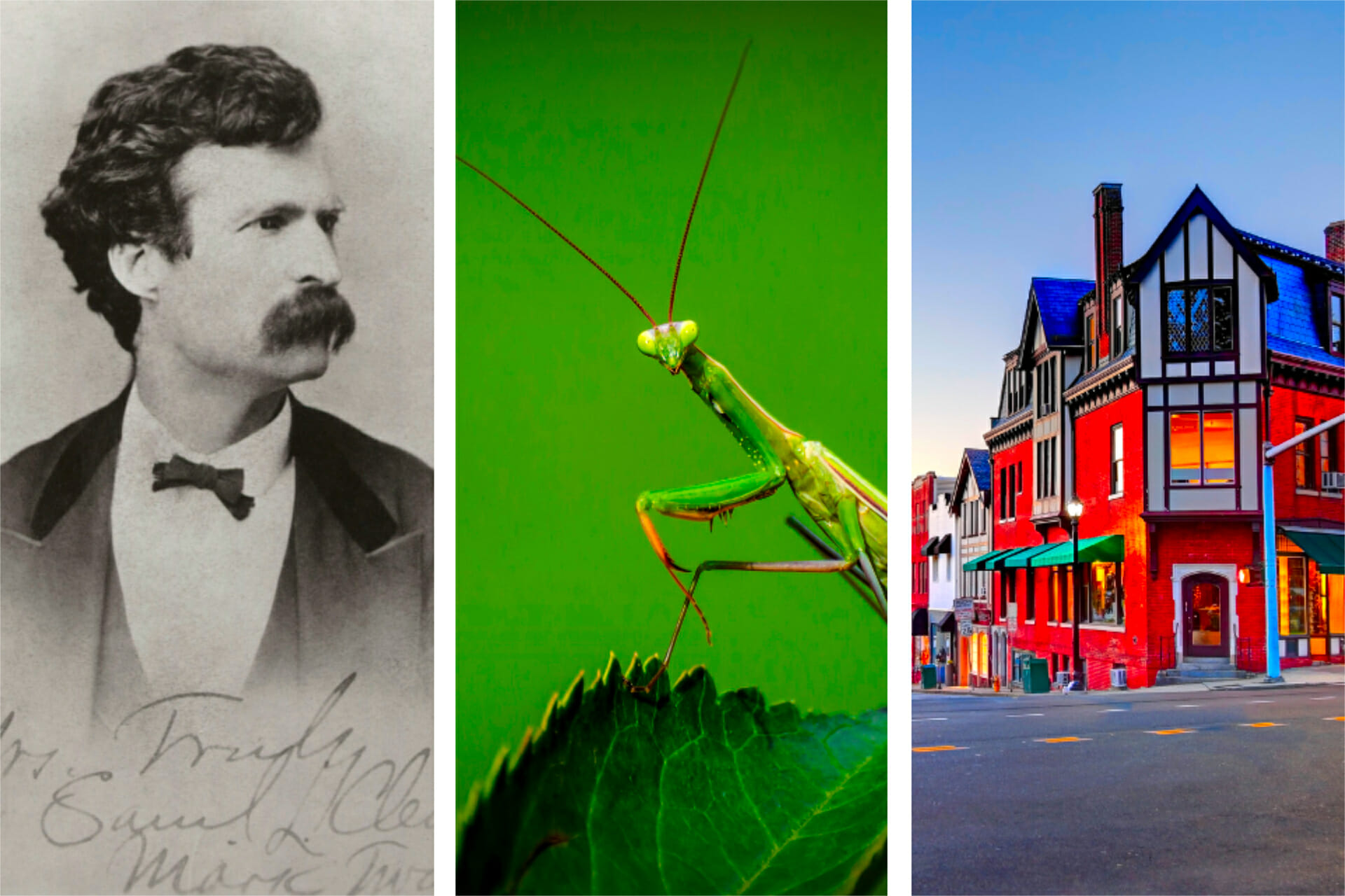 51 Fun Facts about Connecticut (that most people don't know!)